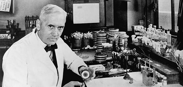 Una muffa salvavita: la storia di Alexander Fleming